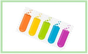 RBTI Courses – Southern Institute of Natural Health